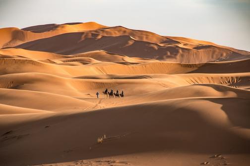 قطارات البراق السريعة ONCF | التذاكر والجدول الزمني - قطارات المغرب
