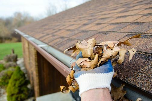 Gutter cleaning services in Portland, downspouts cleaning cost