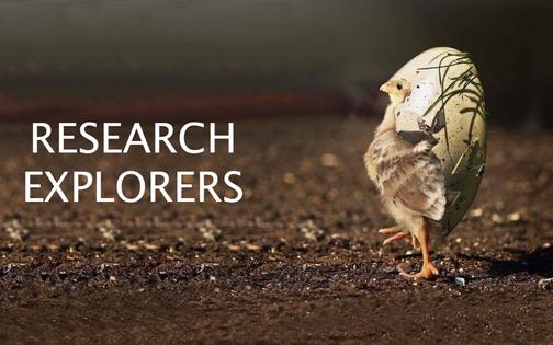 Research Explorers - EN