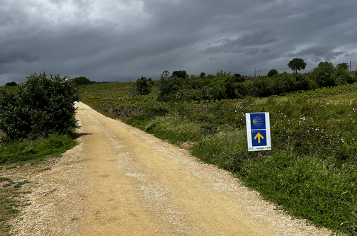 О Пути Камино | История, маршруты и традиции