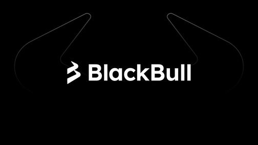 BlackBull Rebrand: Modernizing the Identity of a Forex Broker