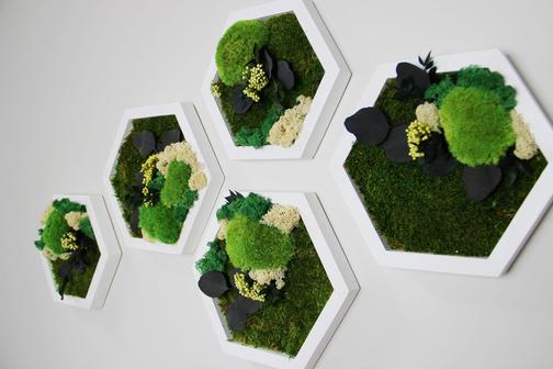 What We Offer | Moss Art Studio – Moss Wall Art, Workshops & Custom Decor